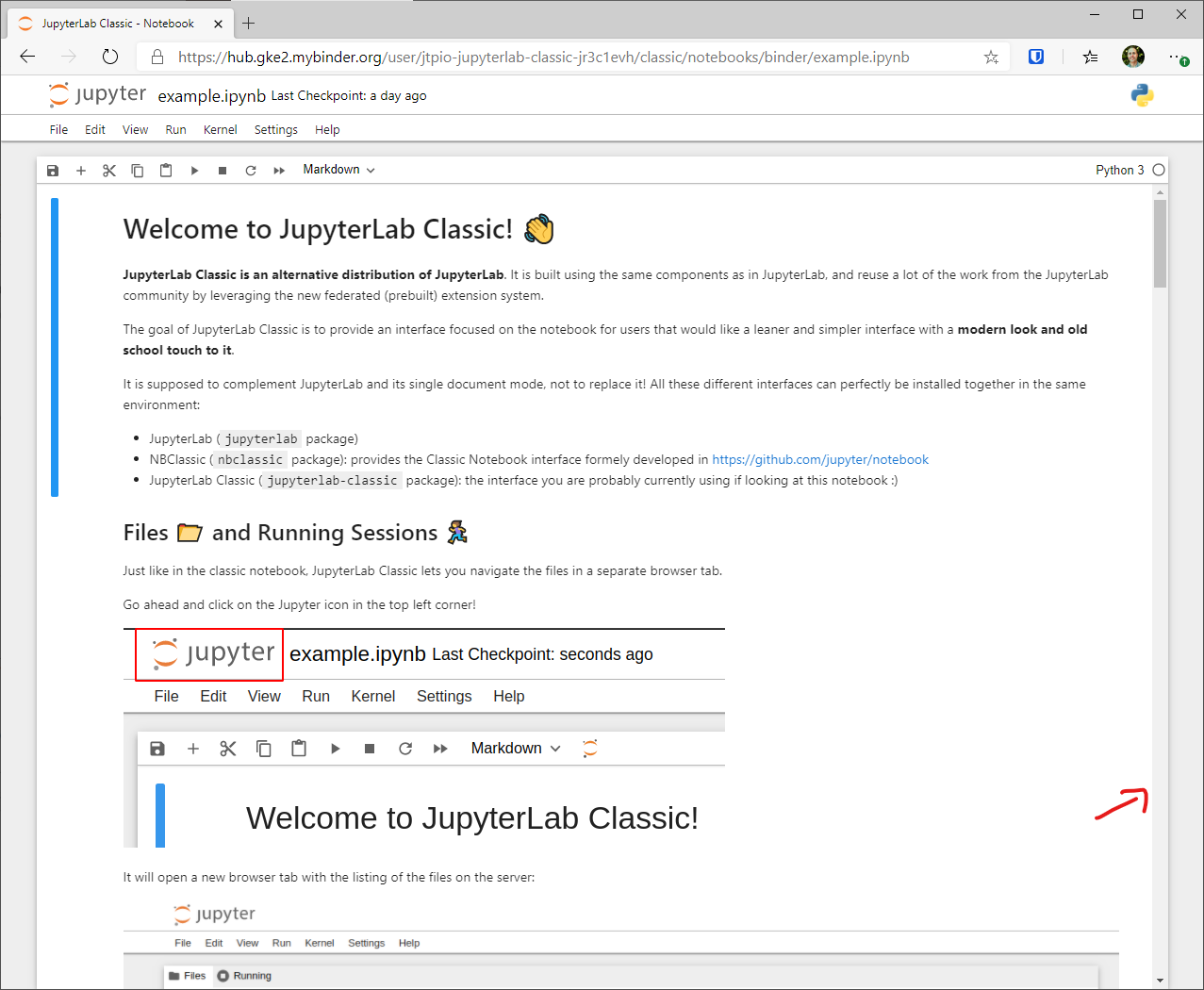 Feedback about UI (scrolling) · Issue #63 · jupyterlab/retrolab · GitHub