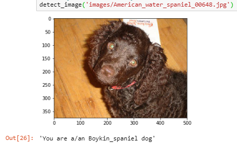 GitHub - A-Nuru/Dog-Breed-App