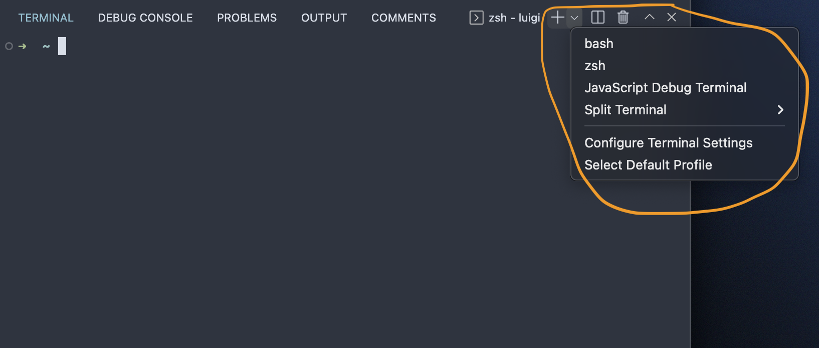 Dedicated tab(s) in VS Code panel · Issue #145 · trufflesuite/vscode ...