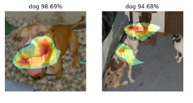 GitHub - Kim-Junsik/Classification_DenseNet