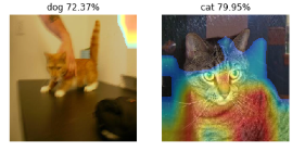 GitHub - Kim-Junsik/Classification_DenseNet