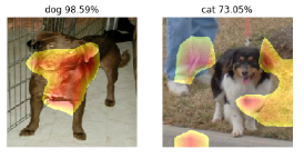 GitHub - Kim-Junsik/Classification_DenseNet