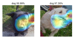 GitHub - semi0612/Classification_EfficientNet