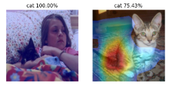 GitHub - semi0612/Classification_EfficientNet