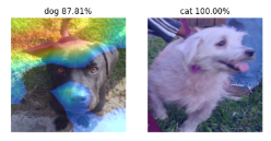 GitHub - semi0612/Classification_EfficientNet