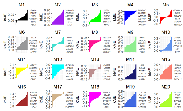 Probably an issue with modules renaming · Issue #48 · smorabit/hdWGCNA ...