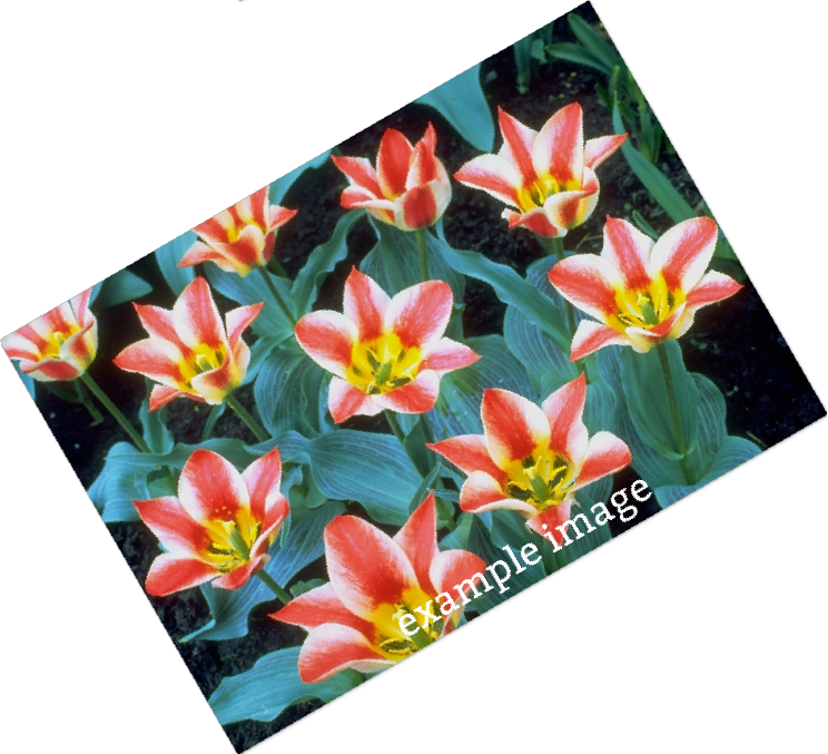 Rotate module not functioning correctly · Issue #1137 · publiclab/image-sequencer · GitHub