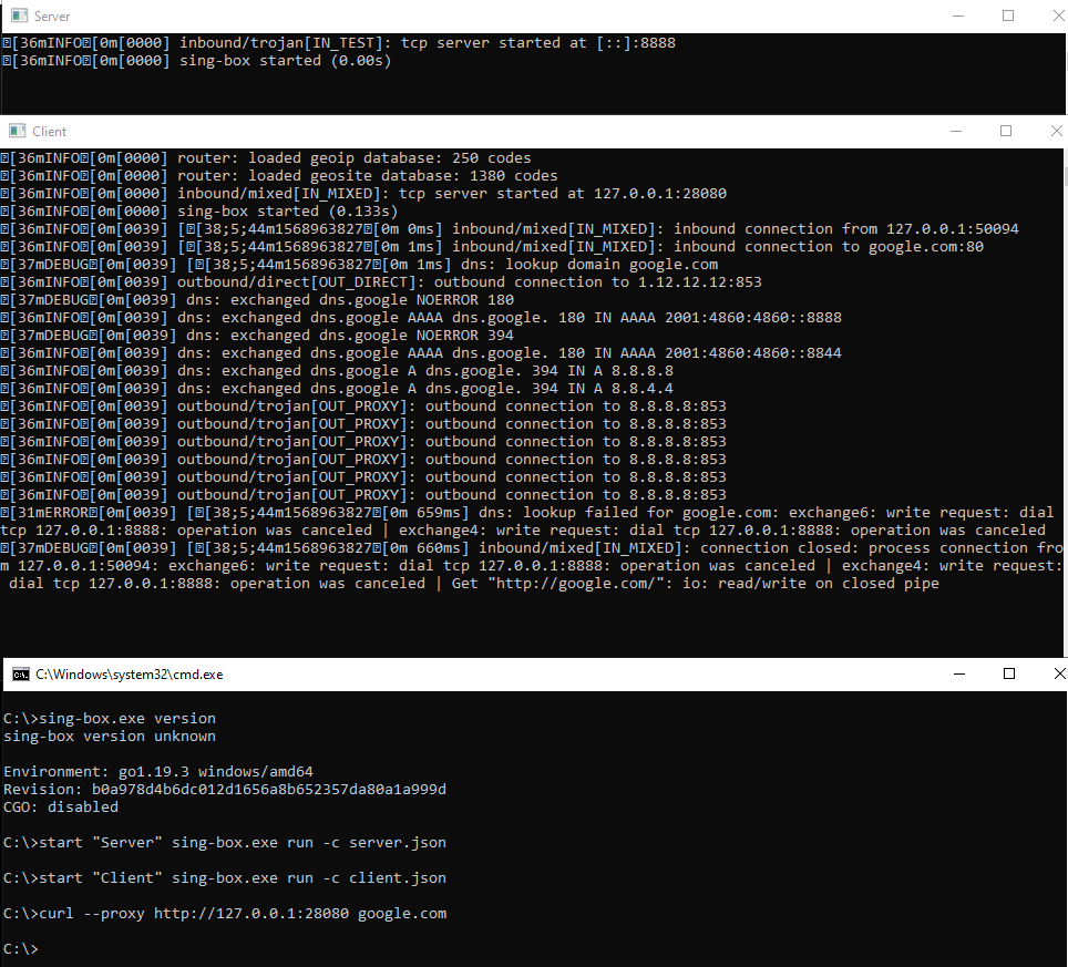 DNS server not working with WebSocket 0-RTT when `dns.servers[].address` contains domain · Issue ...