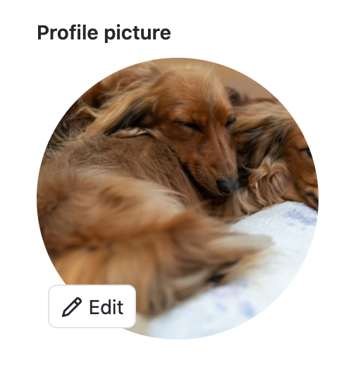 GitHub - darcyclarke/pet-a-day-action: Change your GitHub/Gravatar ...