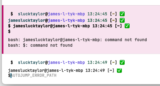 Better support for custom prompts · Issue #1523 · warpdotdev/Warp · GitHub