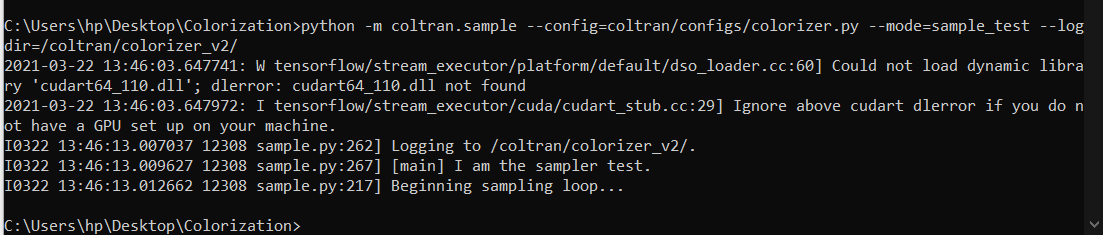 Colorization Transformer: Single GrayScale Image Inference Script ...