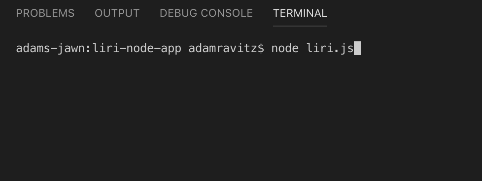 GitHub - a-ravitz/liri-node-app