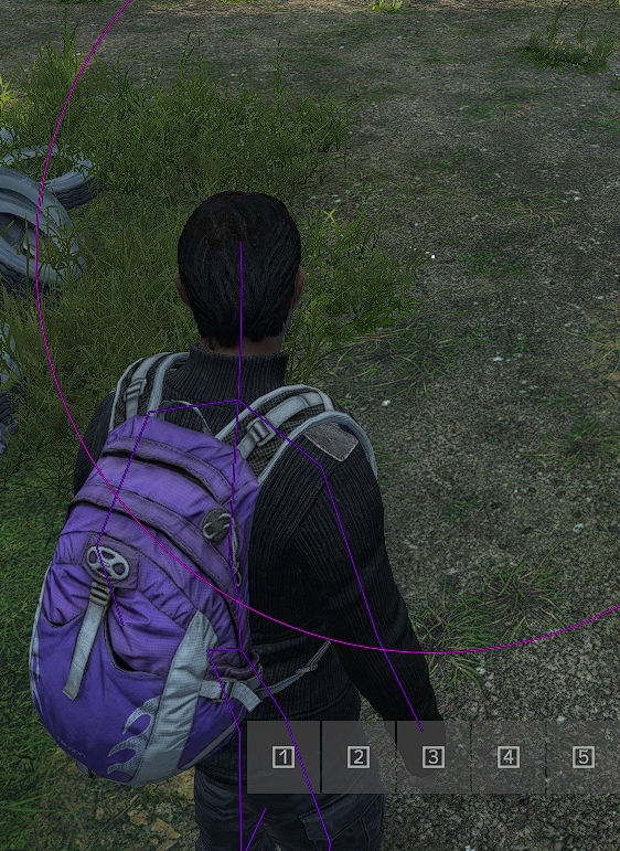 GitHub - hellowworld1337/dayz-external: My old external dayz source with auto update base offsets