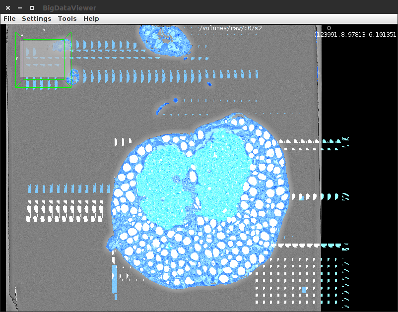 Artifact in output N5 for all-zero blocks · Issue #61 · funkelab/gunpowder · GitHub