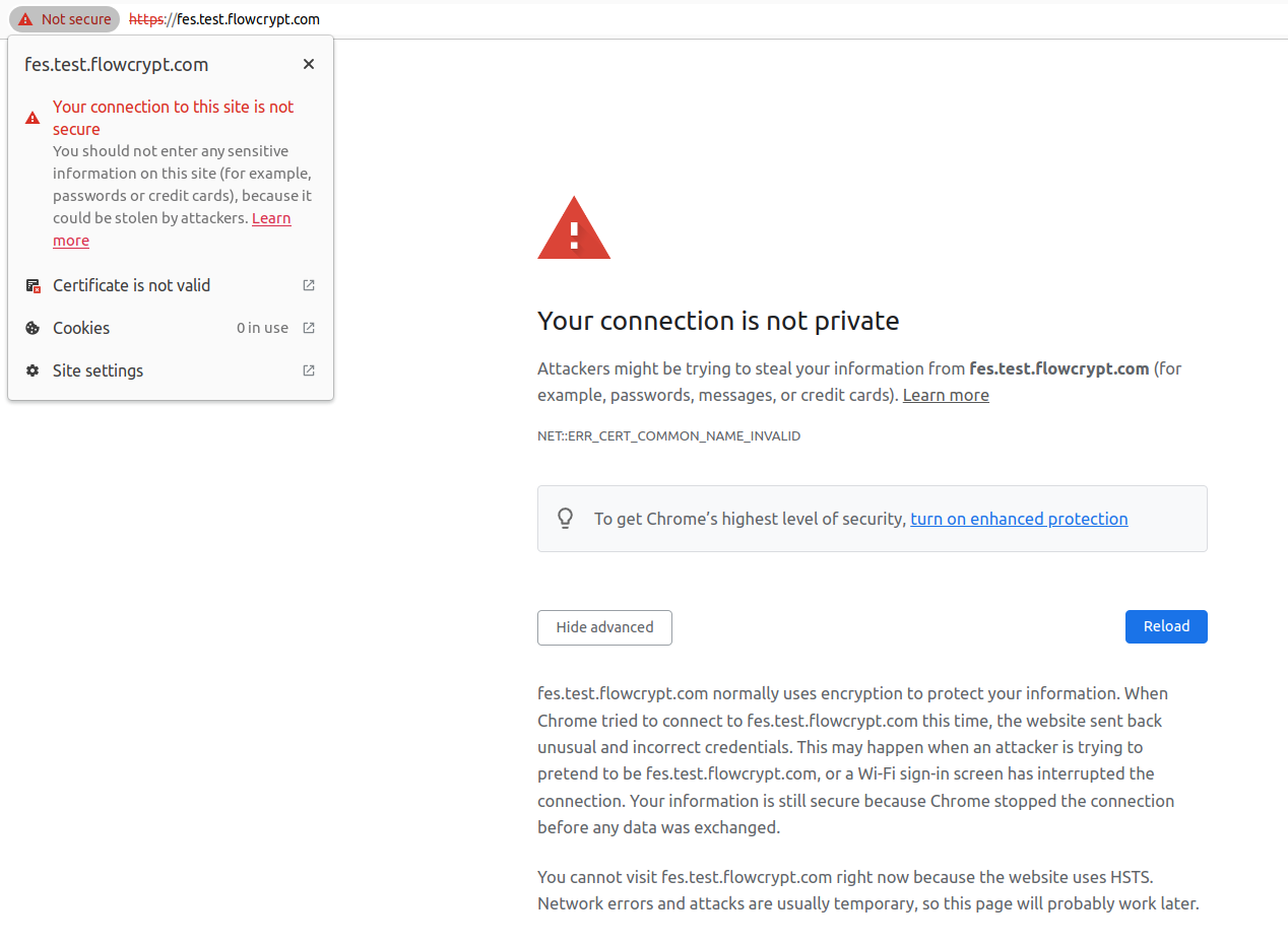 test shared-tetant-fes for android app · Issue #2197 · FlowCrypt ...