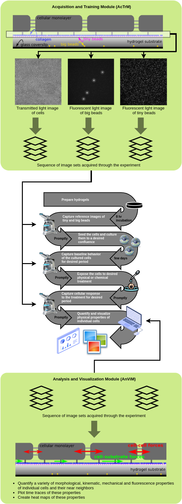 GitHub - IntegrativeMechanobiologyLaboratory/iTACS: Integrative Toolkit ...