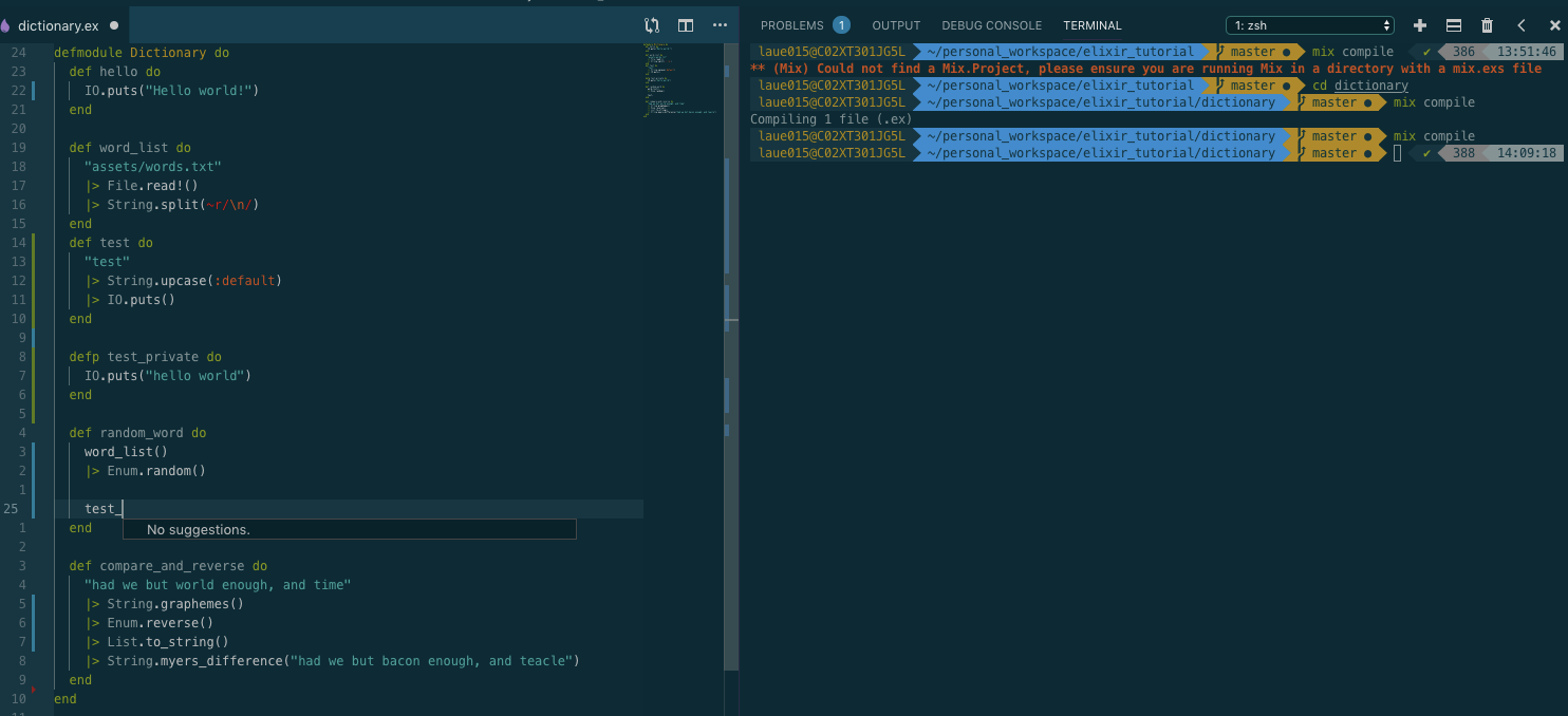 Autocomplete with local method and Go to Definition not working · Issue #133 · JakeBecker/vscode ...