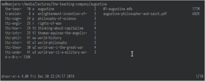 Follow Directories/Files With Hints · Issue #283 · gokcehan/lf · GitHub