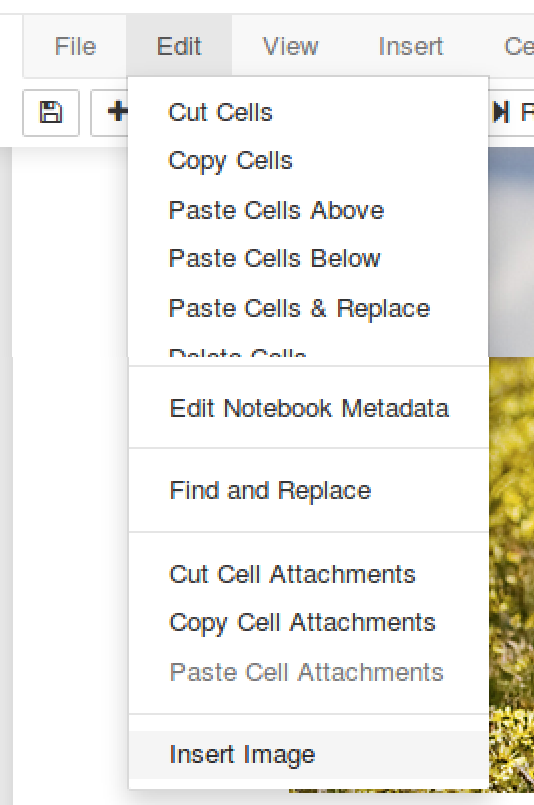 Cant Embed Insert Image In Notebook · Issue 4221 · Jupyterlab