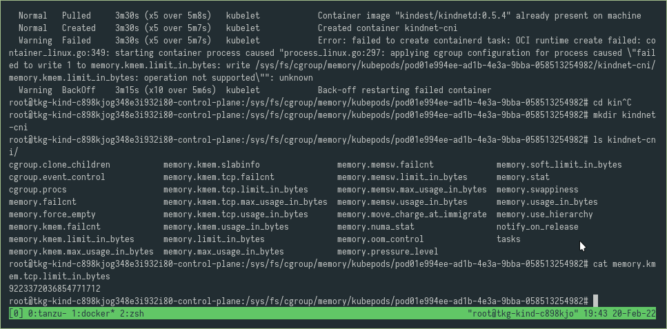Creation of managed cluster fails · Issue #3200 · vmware-tanzu/community-edition · GitHub