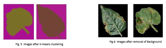 GitHub - PushkaraSharma/Plant_Leaf_Disease_Classification