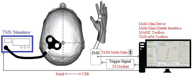 GitHub - smmalavi/TMS-ioFit: TMS ioFit is a Matlab toolbox, for closed-loop, fast and accurate ...