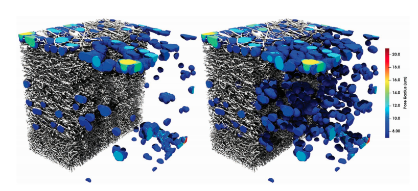 How to visualize the results of local_thickness on a 3D image? · PMEAL ...