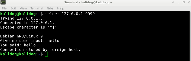 Get problems when converting a command line program to a network call ...
