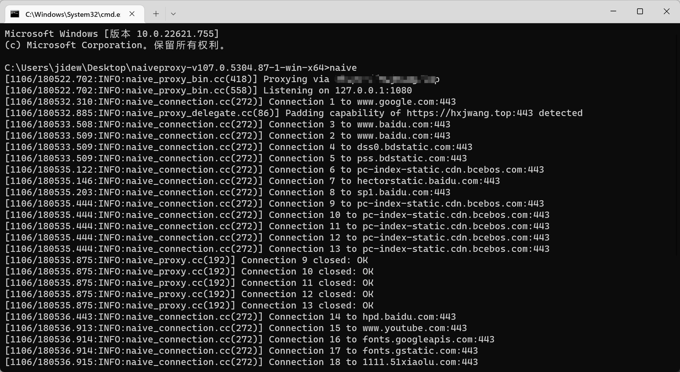 Windows11开启hyper V无法连接 · Issue 386 · Klzgradnaiveproxy · Github