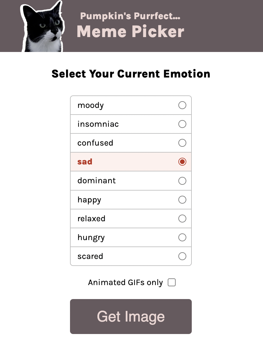 GitHub - ostroumova/Cat-meme-picker