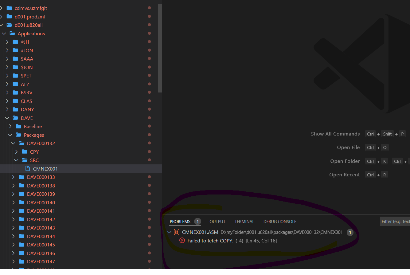 VSCode Explorer opens a source language file - z/Open editor reports an error and changes the ...
