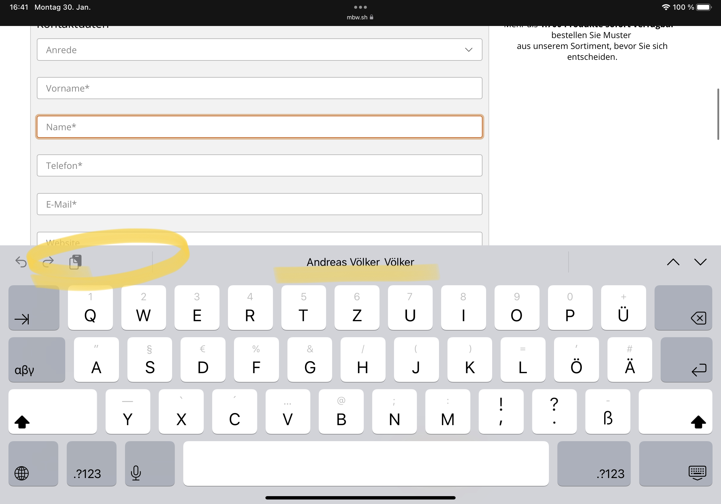 `sl-input` can't autocomplete in full form only for itself · Issue #1162 · shoelace-style ...