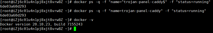 [BUG] 安装过程中对于Caddy容器的启动成功检测可能有问题 · Issue #126 · trojanpanel/install-script · GitHub