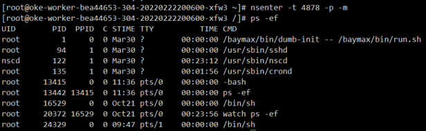 nsexec cannot view the processes in the target container · chaos-mesh chaos-mesh · Discussion ...