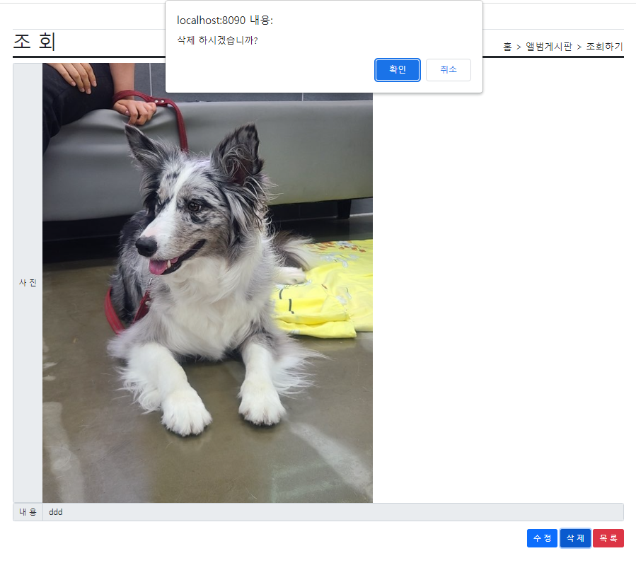GitHub - kimkiwon0307/MyPet_Project_V2