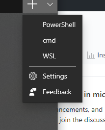 Missing Profile Icons · Issue #943 · microsoft/terminal · GitHub