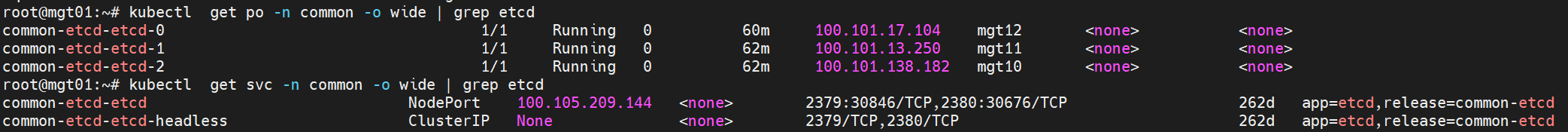 In kubernetes environment, use headless mode to connect etcd. After ...