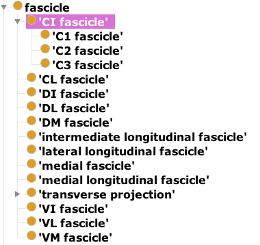 Update larval neuropil nomenclature · Issue #139 · FlyBase/drosophila-anatomy-developmental ...