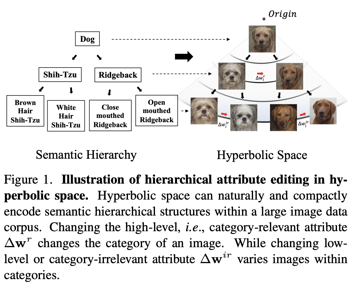 The Euclidean Space is Evil: Hyperbolic Attribute Editing for Few-shot ...