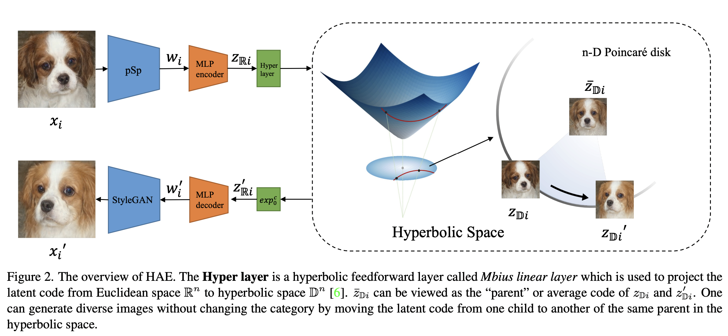 The Euclidean Space is Evil: Hyperbolic Attribute Editing for Few-shot ...