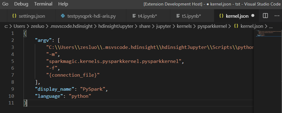 kernel cannot be correctly selected even manually specifying in ipynb ...