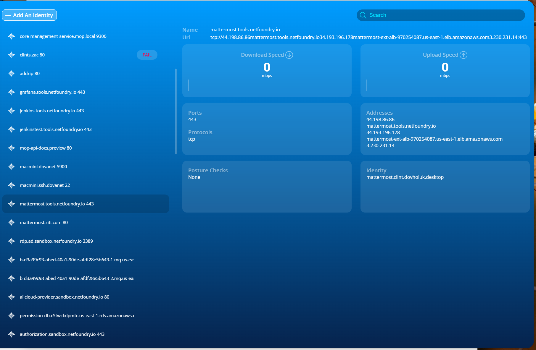 rearrange services page · Issue #42 · openziti/desktop-edge-ui · GitHub