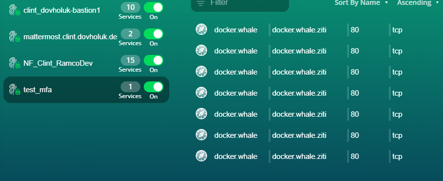 One Service Two Shown In The Table · Issue 114 · Openziti Desktop Edge Ui · Github