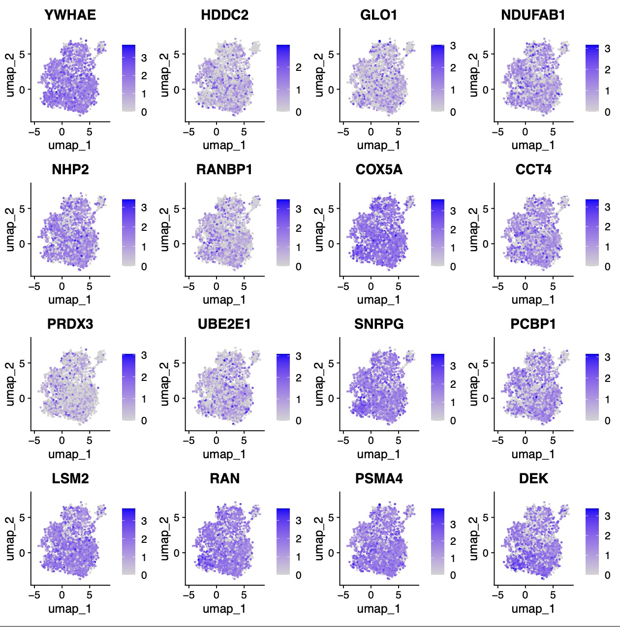 Issue with running AddModuleScore in seurat v5 · Issue #7536 ...