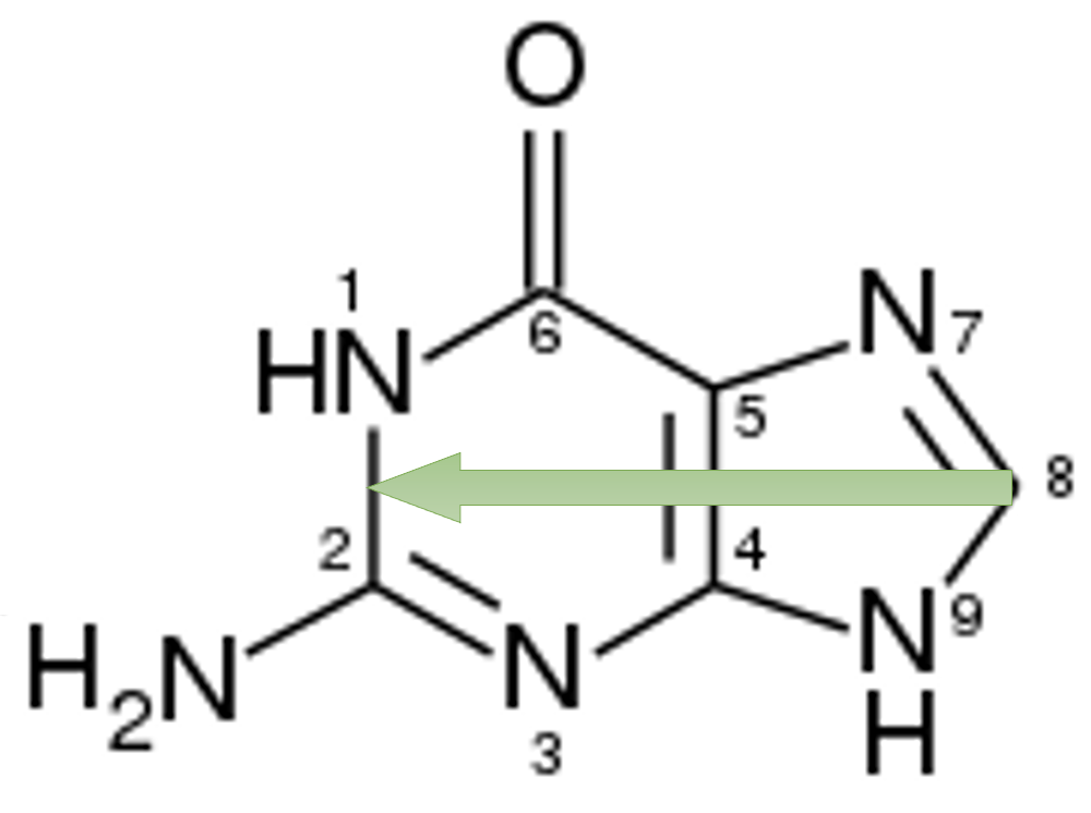 GitHub - lindayqlin/G-quadruplex_helical_twist