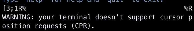 Python `prompt_toolkit`: `Your terminal doesn't support cursor position requests` · Issue #206 ...