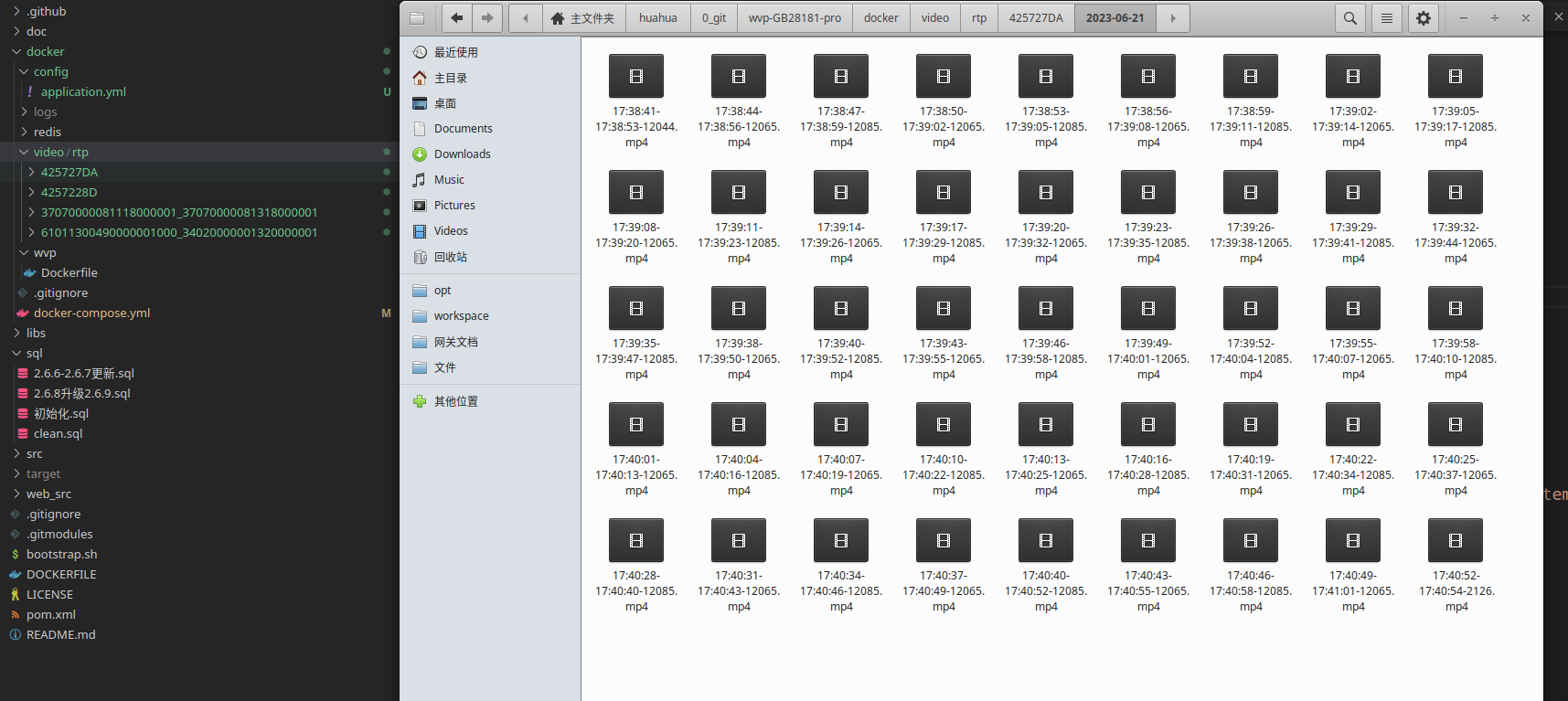 录像文件下载失败 · Issue #906 · 648540858/wvp-GB28181-pro · GitHub