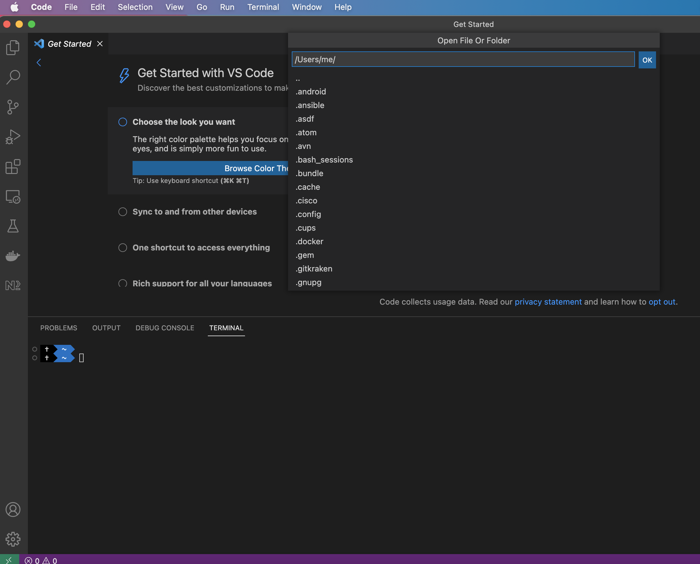 Calling TerminalView.executeCommand() results in "Open File or Folder" window opening · Issue ...