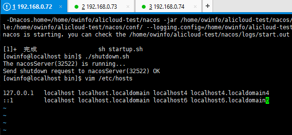 Errors In Nacos Cluster Deployment · Issue 568 · Alibabanacos · Github
