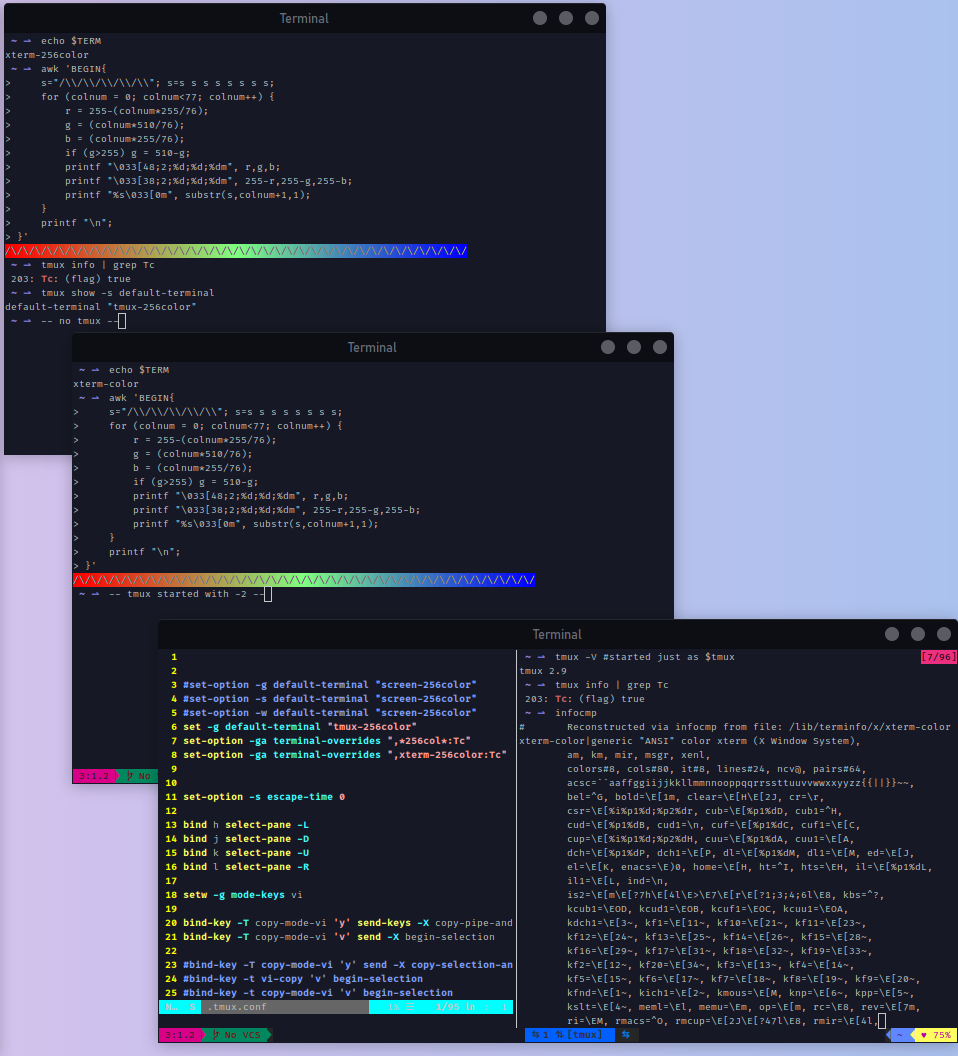Curious Issue With True Color True Colour Works But Term Isnt Updated To Reflect That